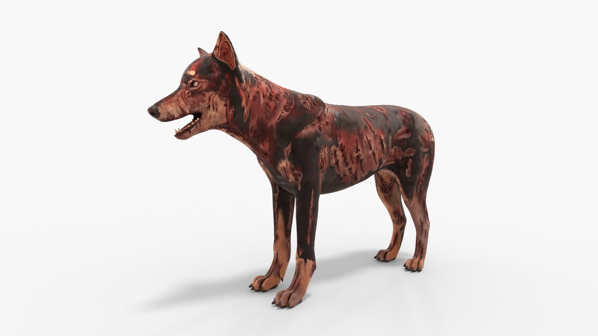 Zombie Dog Fur 3D model - TurboSquid 2148348
