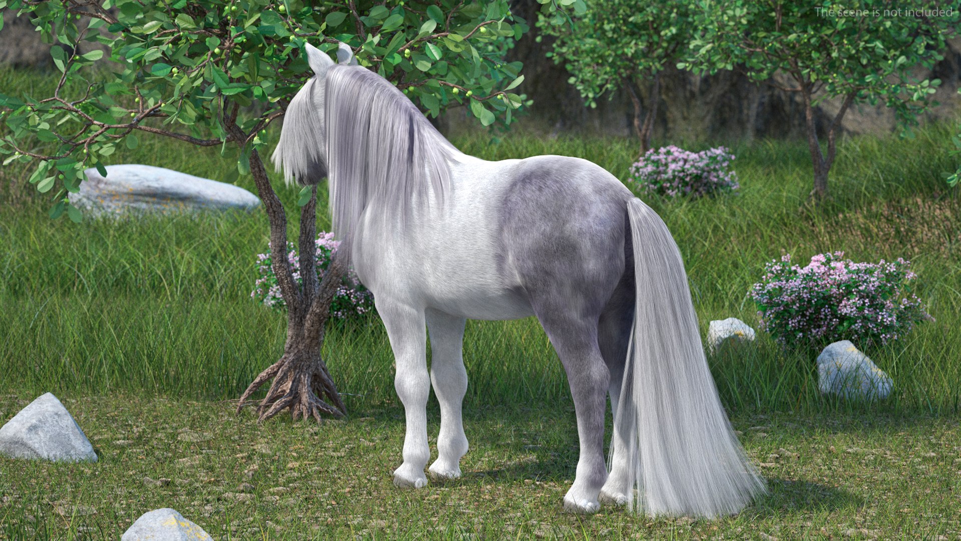 White Pony With Long Mane Fur Rigged 3D Model - TurboSquid 2237077