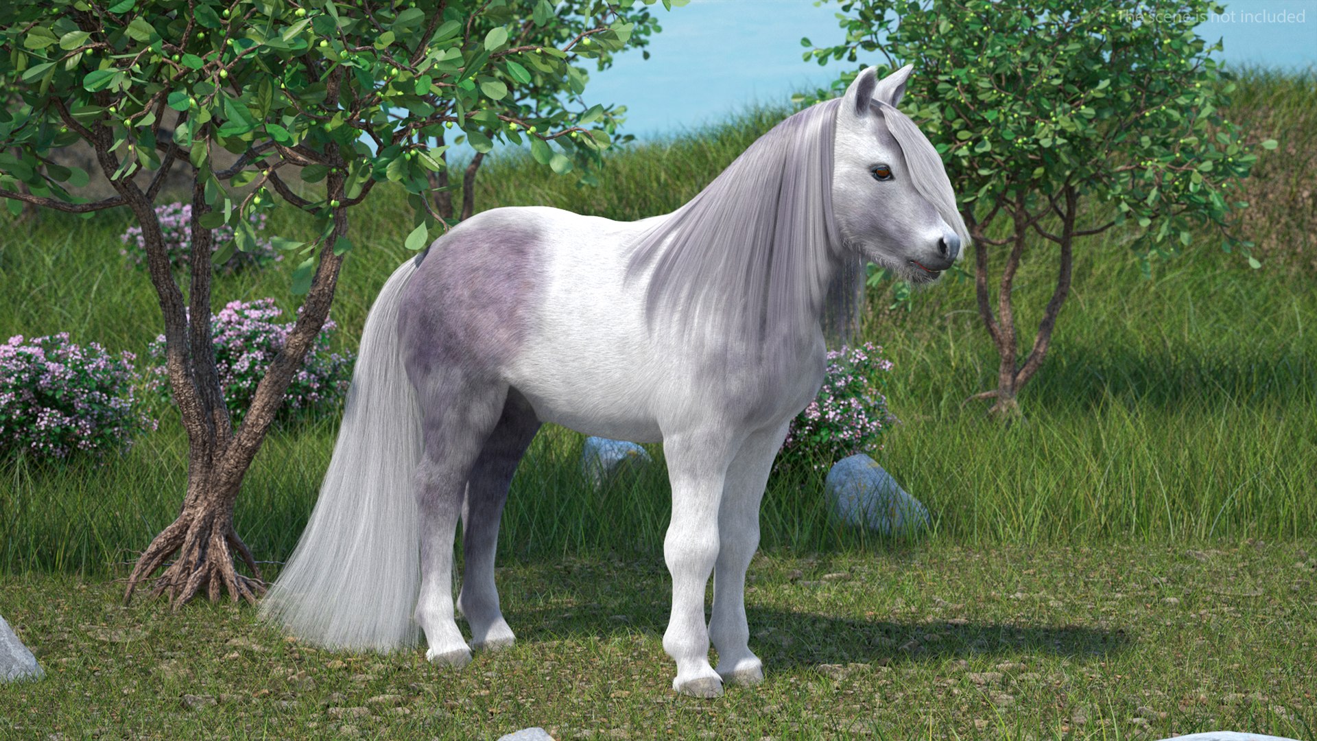 White Pony With Long Mane Fur Rigged 3D Model - TurboSquid 2237077