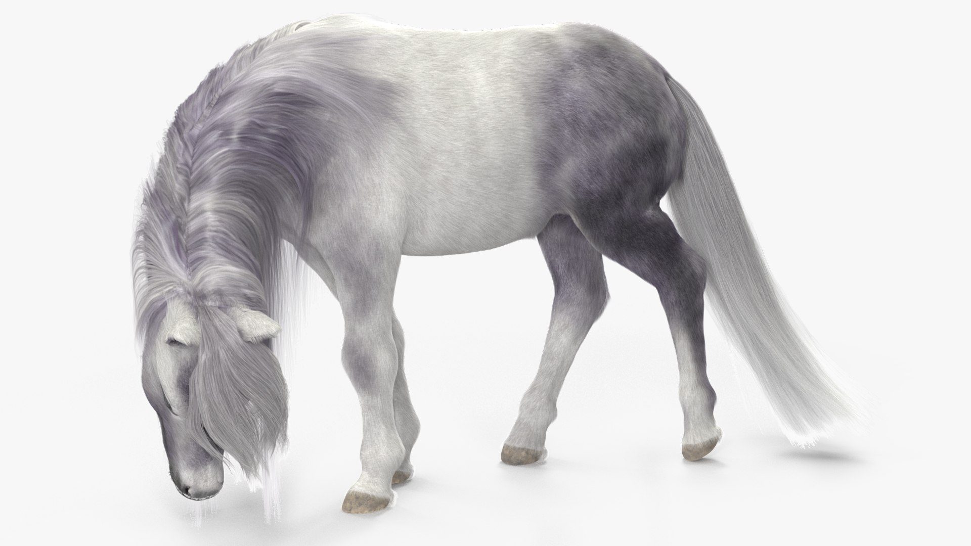 White Pony With Long Mane Fur Rigged 3D Model - TurboSquid 2237077
