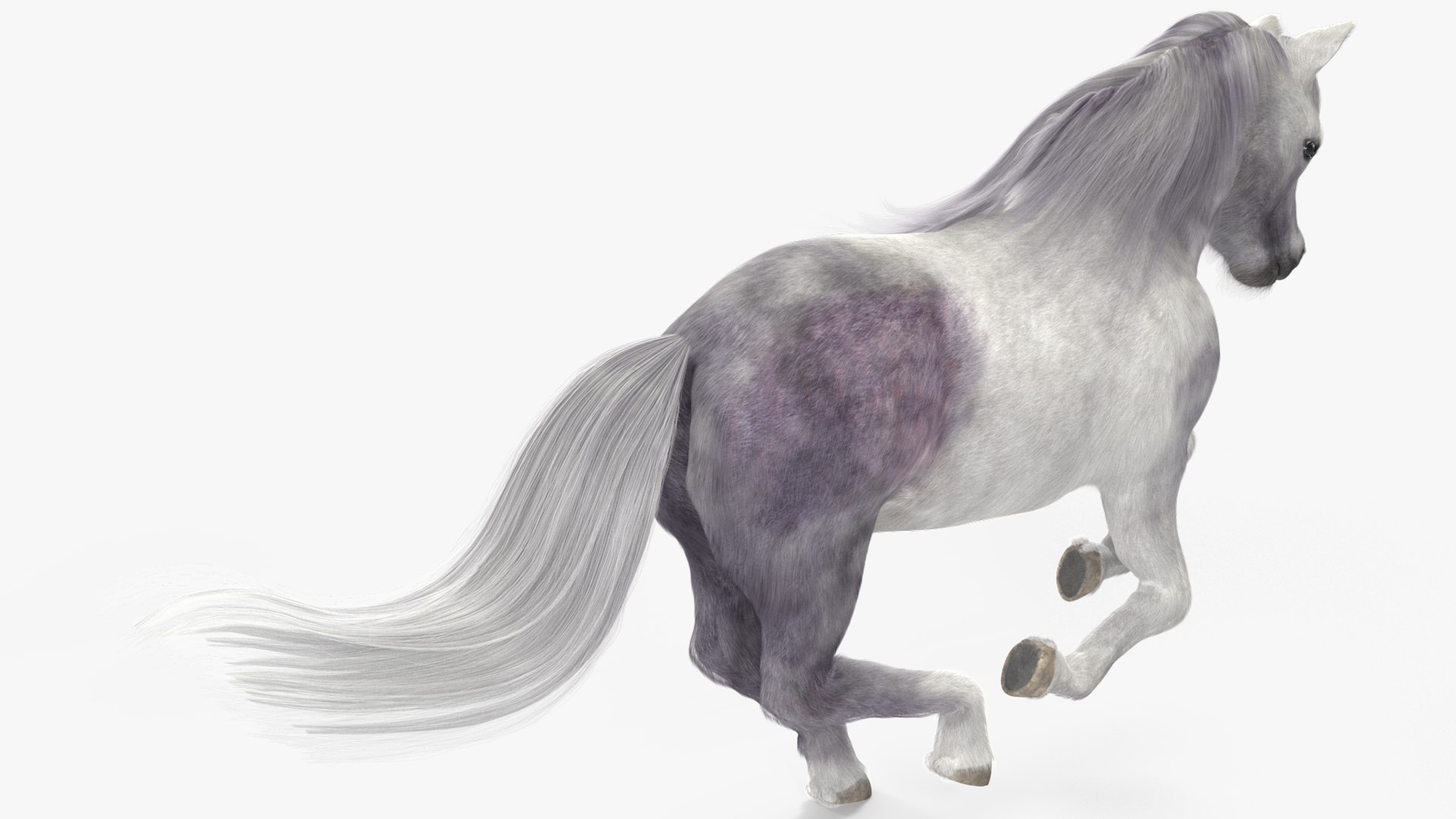 White Pony With Long Mane Fur Rigged 3D Model - TurboSquid 2237077