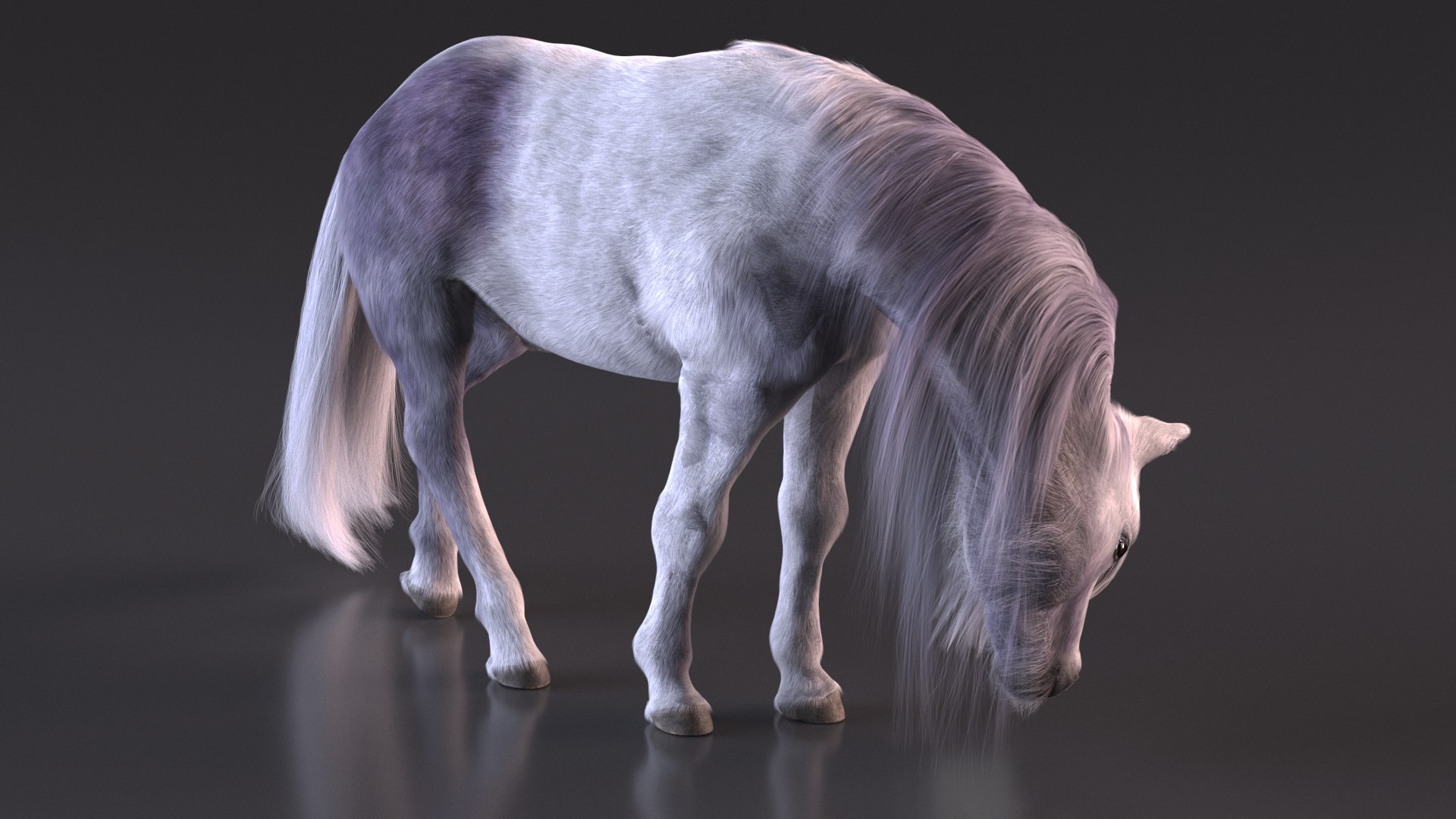 White Pony With Long Mane Fur Rigged 3D Model - TurboSquid 2237077