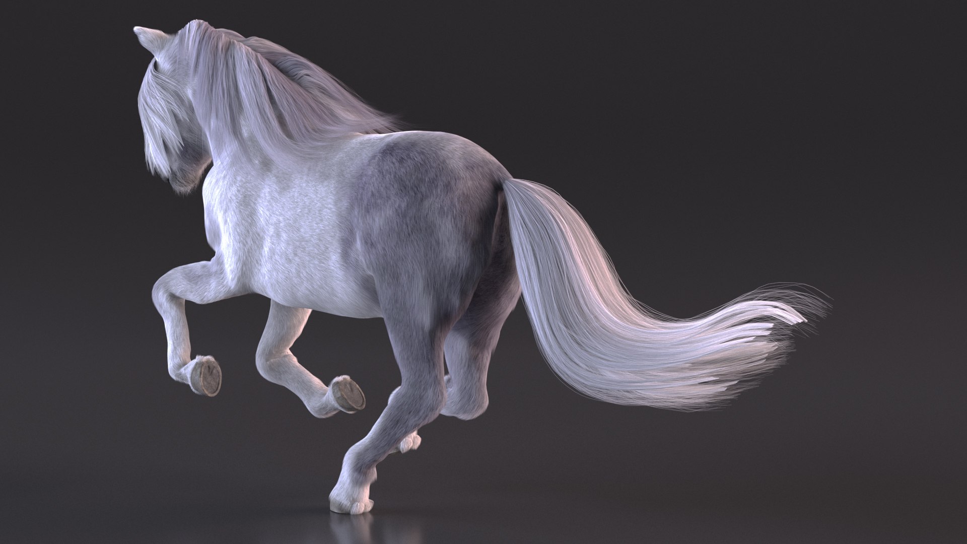 White Pony With Long Mane Fur Rigged 3D Model - TurboSquid 2237077