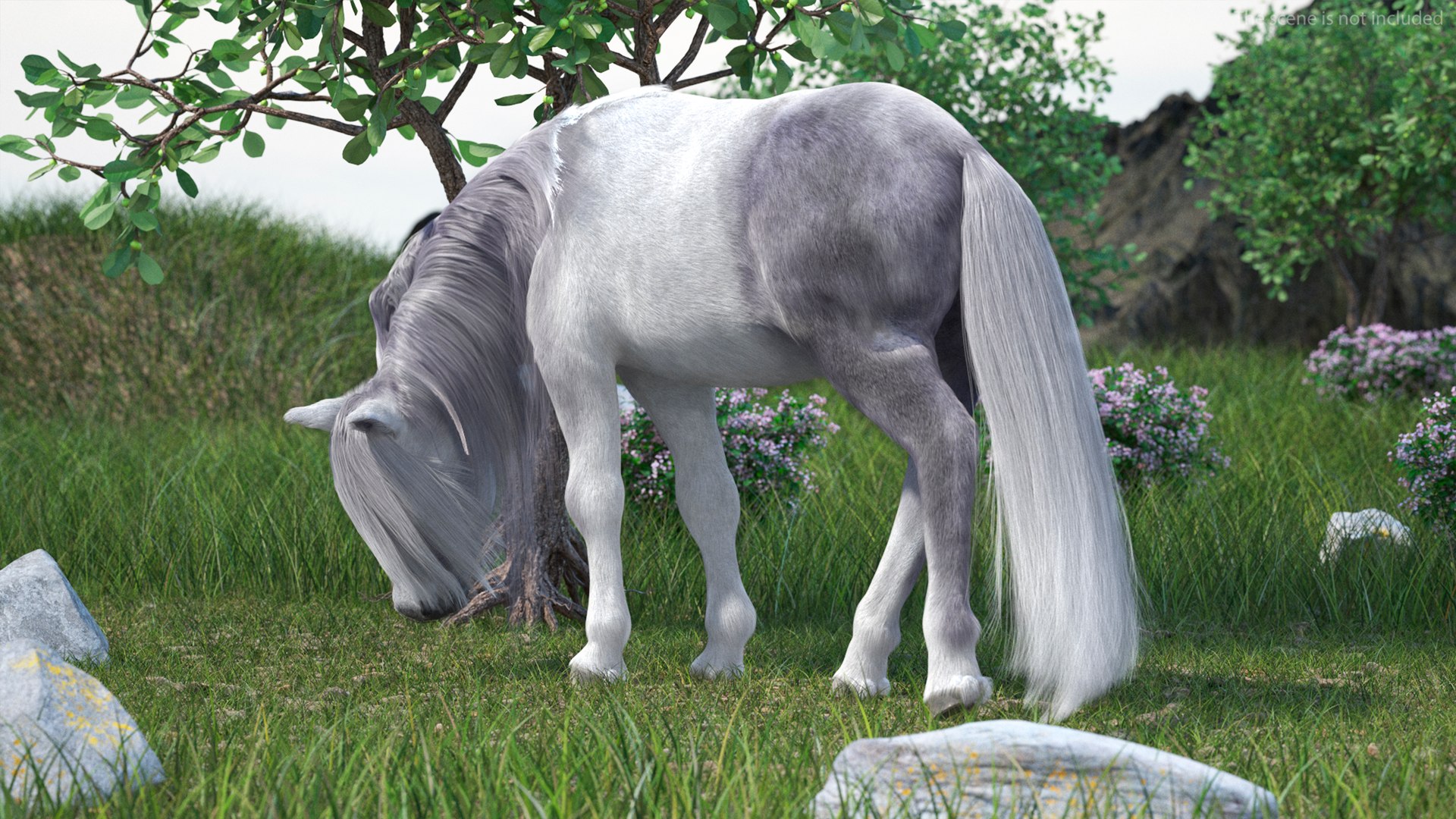 White Pony With Long Mane Fur Rigged 3D Model - TurboSquid 2237077