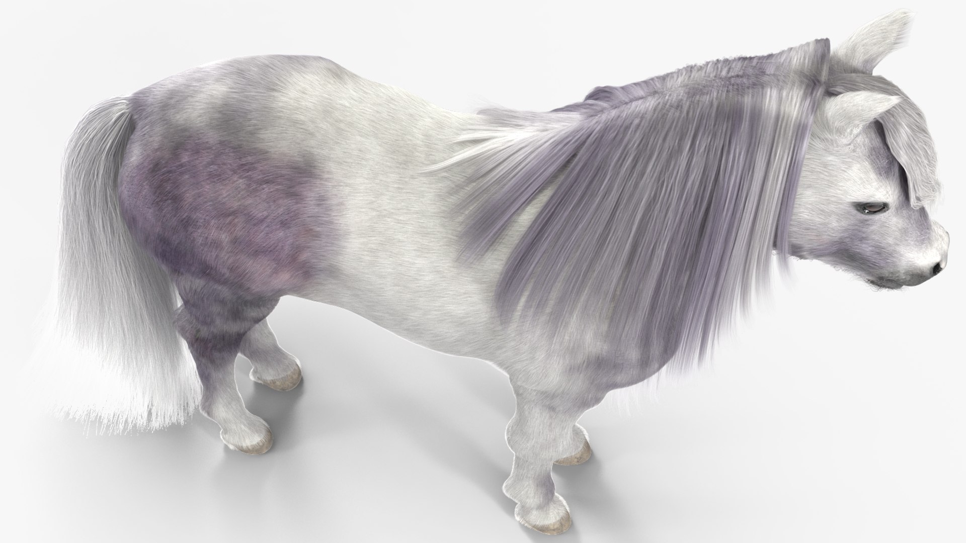 White Pony With Long Mane Fur Rigged 3D Model - TurboSquid 2237077
