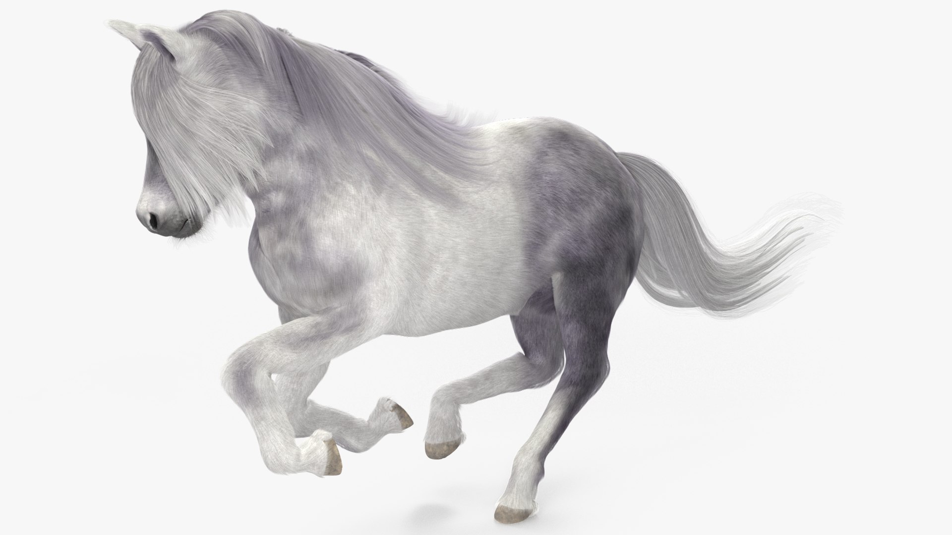White Pony With Long Mane Fur Rigged 3D Model - TurboSquid 2237077
