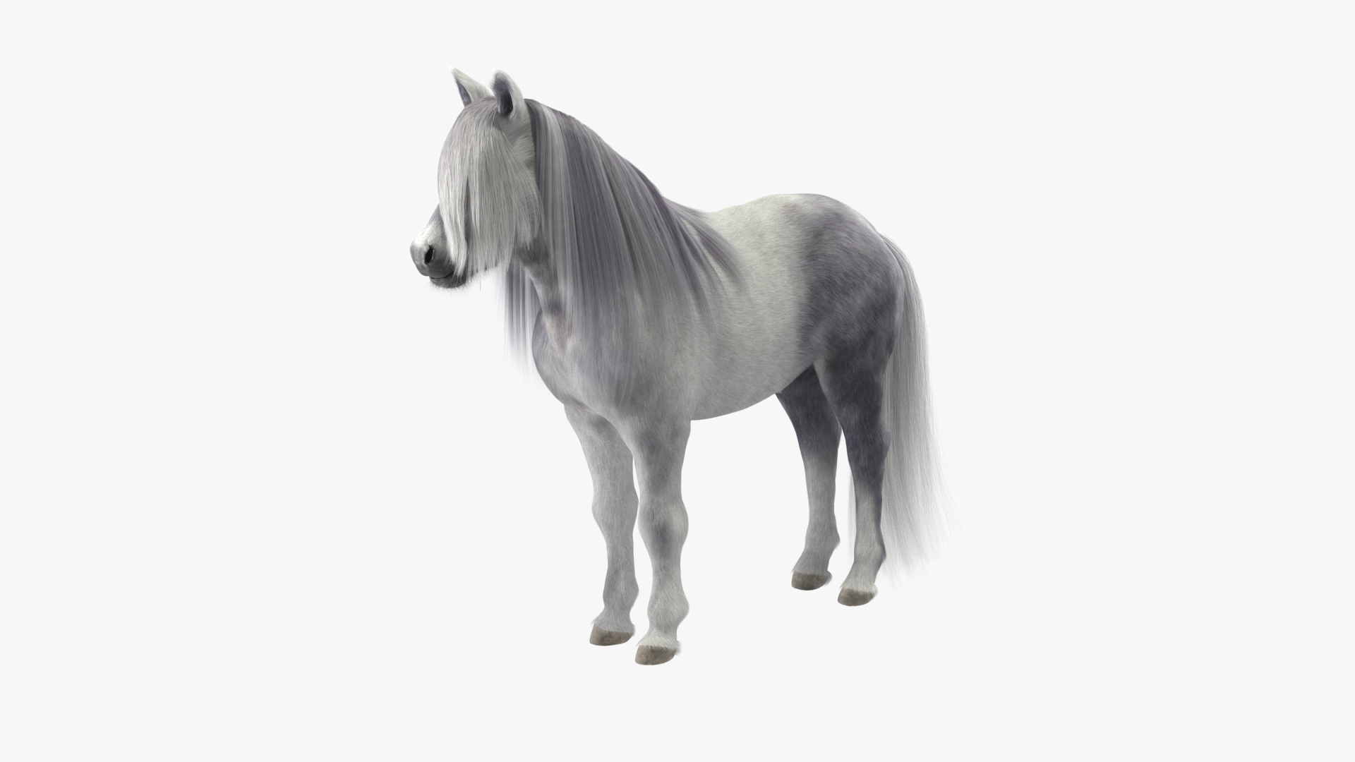 White Pony With Long Mane Fur Rigged 3D Model - TurboSquid 2237077