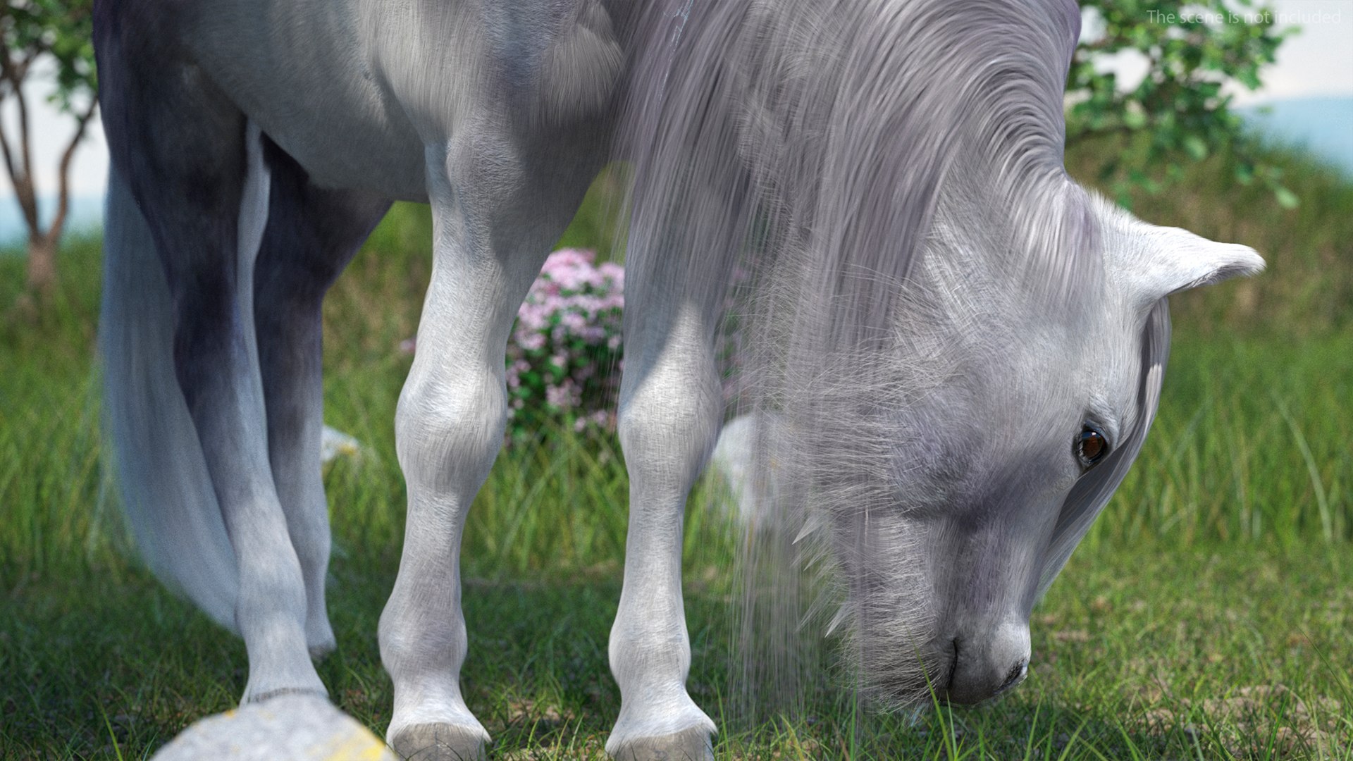 White Pony With Long Mane Fur Rigged 3D Model - TurboSquid 2237077