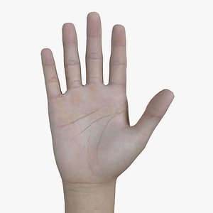 SHR-001 Rigged Right Hand Model - TurboSquid 1970571