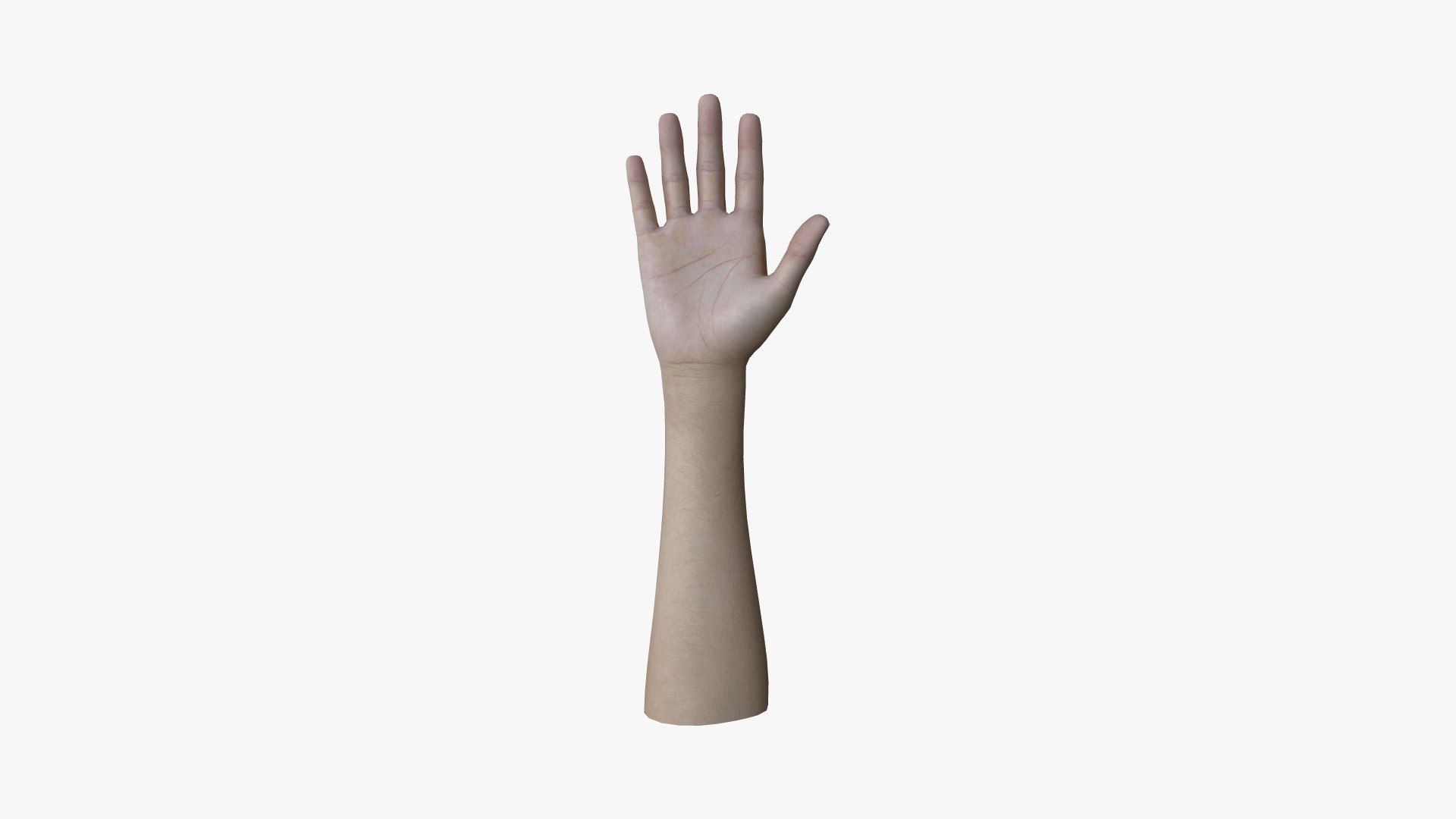 3D 0001 Rigged Hand - TurboSquid 1718745