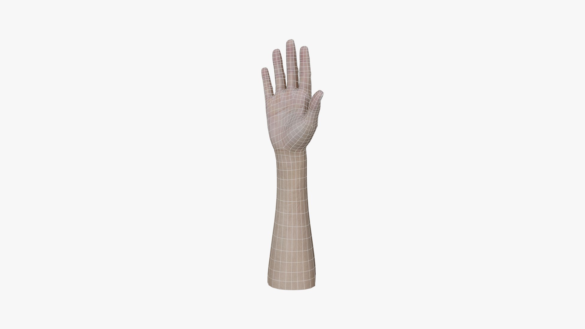 3D 0001 Rigged Hand - TurboSquid 1718745