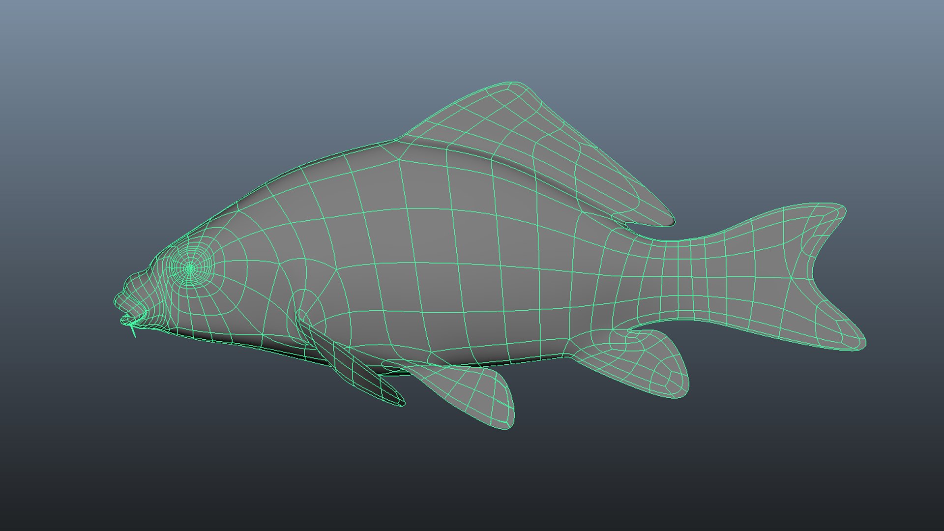 3D Model Carp Collection - TurboSquid 1817209
