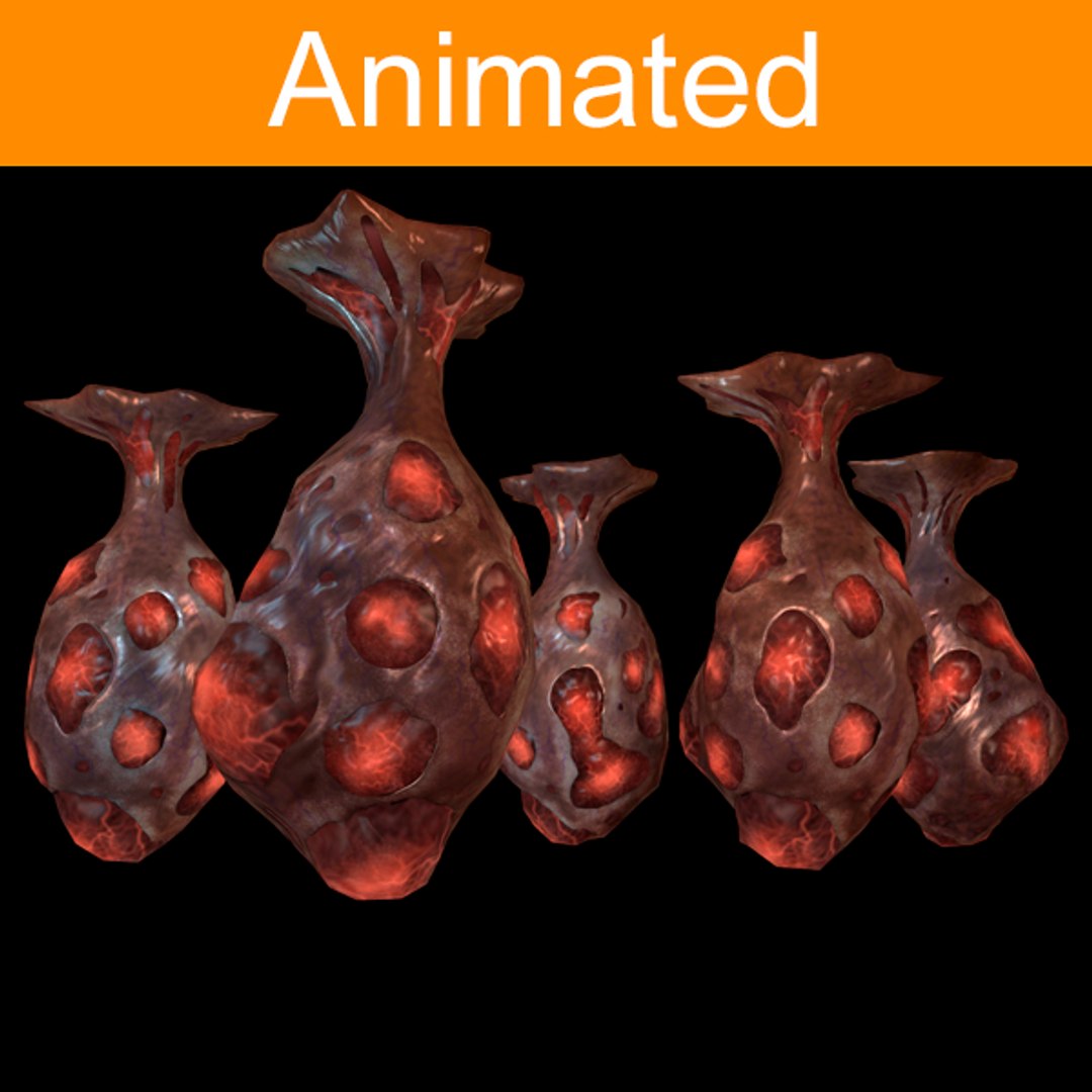 Cocoon Animations 3d Model