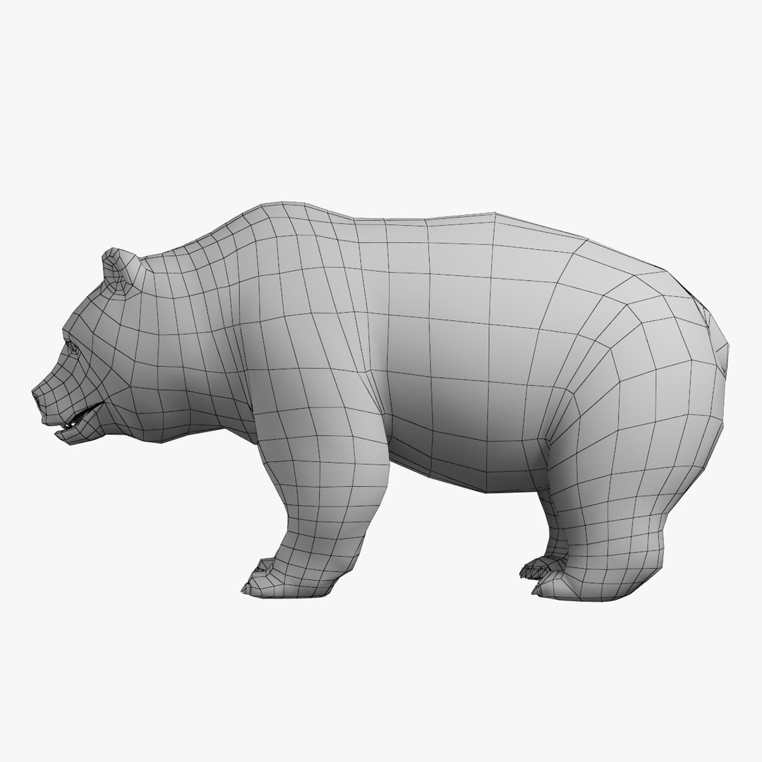 3d bear