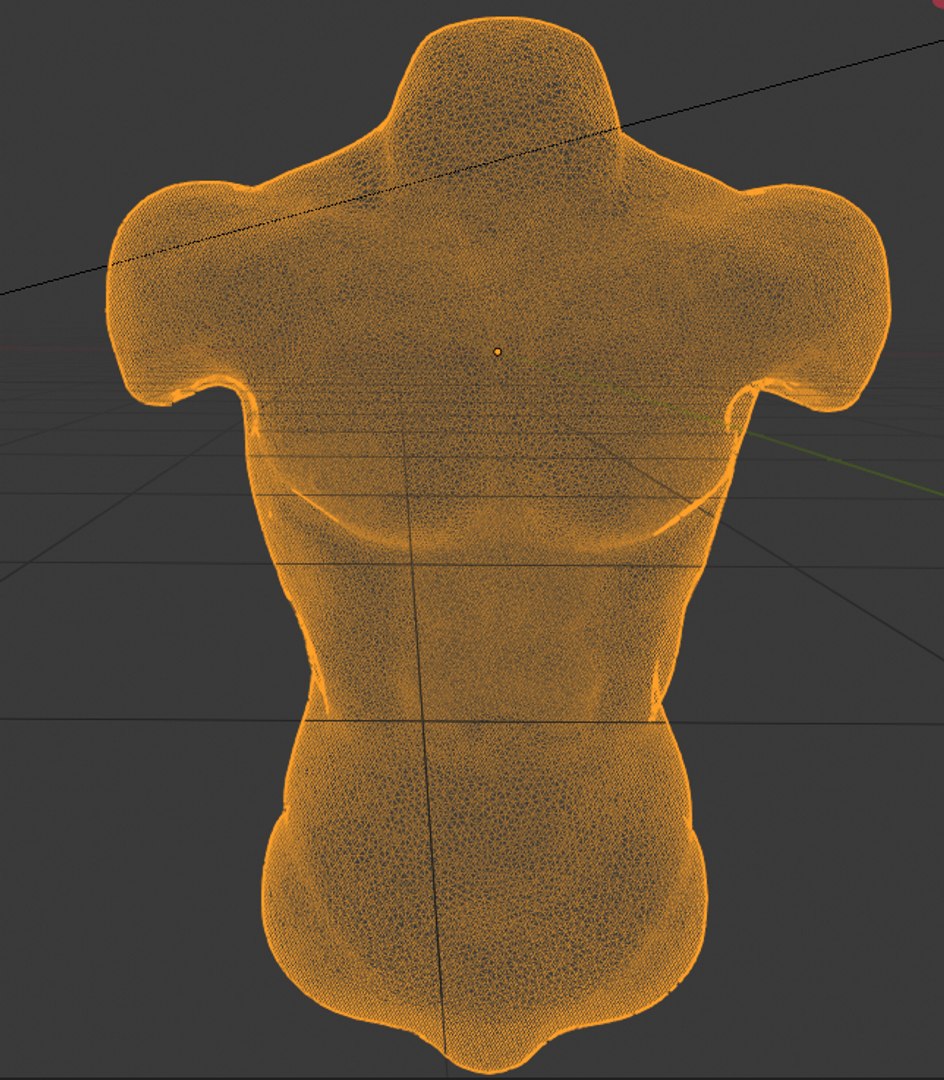3D Human Torso Model - TurboSquid 1446613