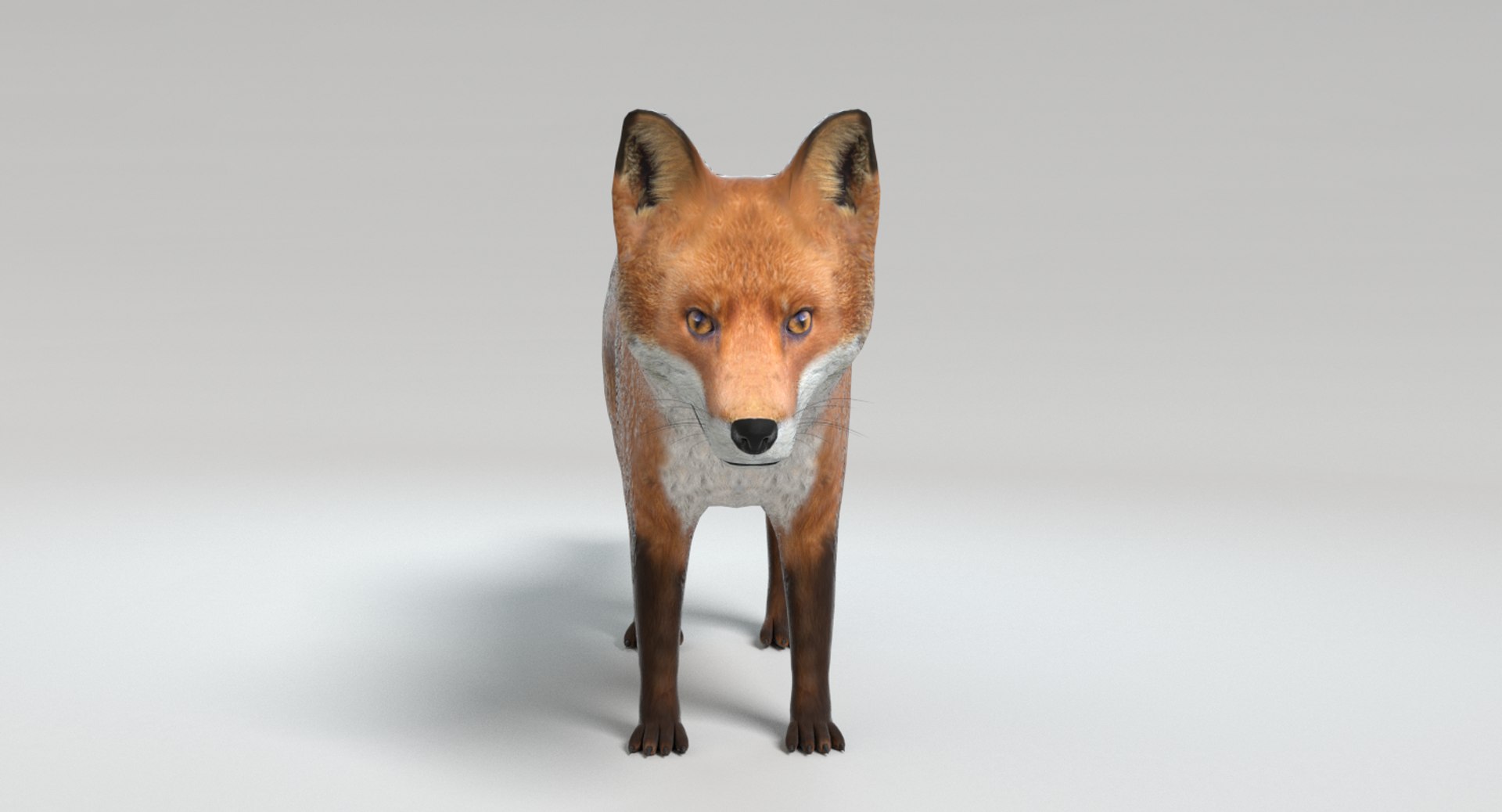Fox 3D - TurboSquid 1166863