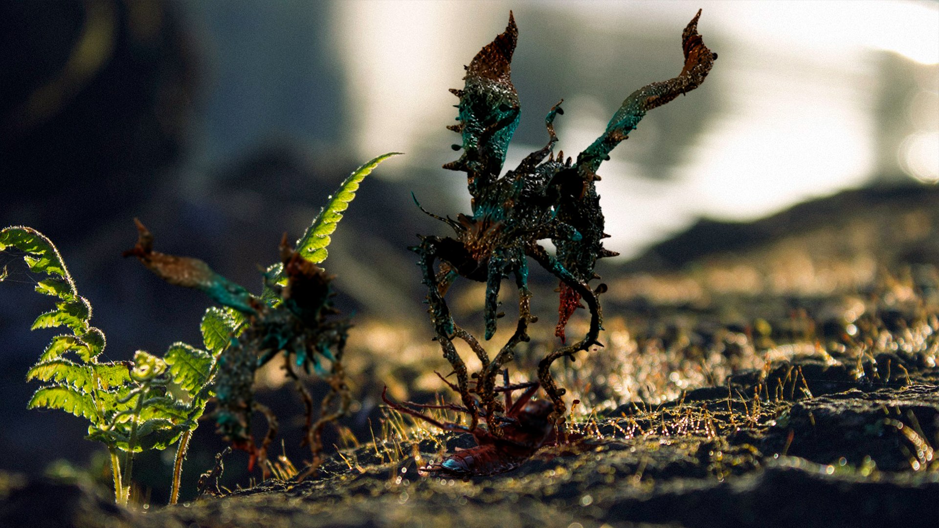 Free Insect 3D Model - TurboSquid 1533186