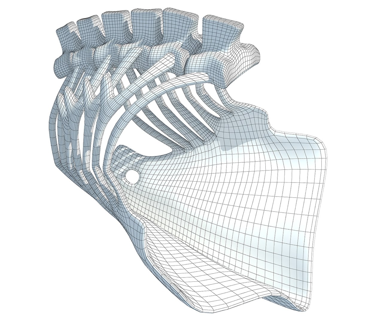 Bald Eagle Rib Cage 3D Model - TurboSquid 1178002