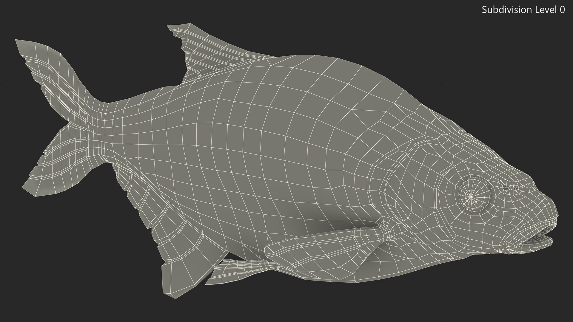 Abramis Brama 3D Model - TurboSquid 2157097