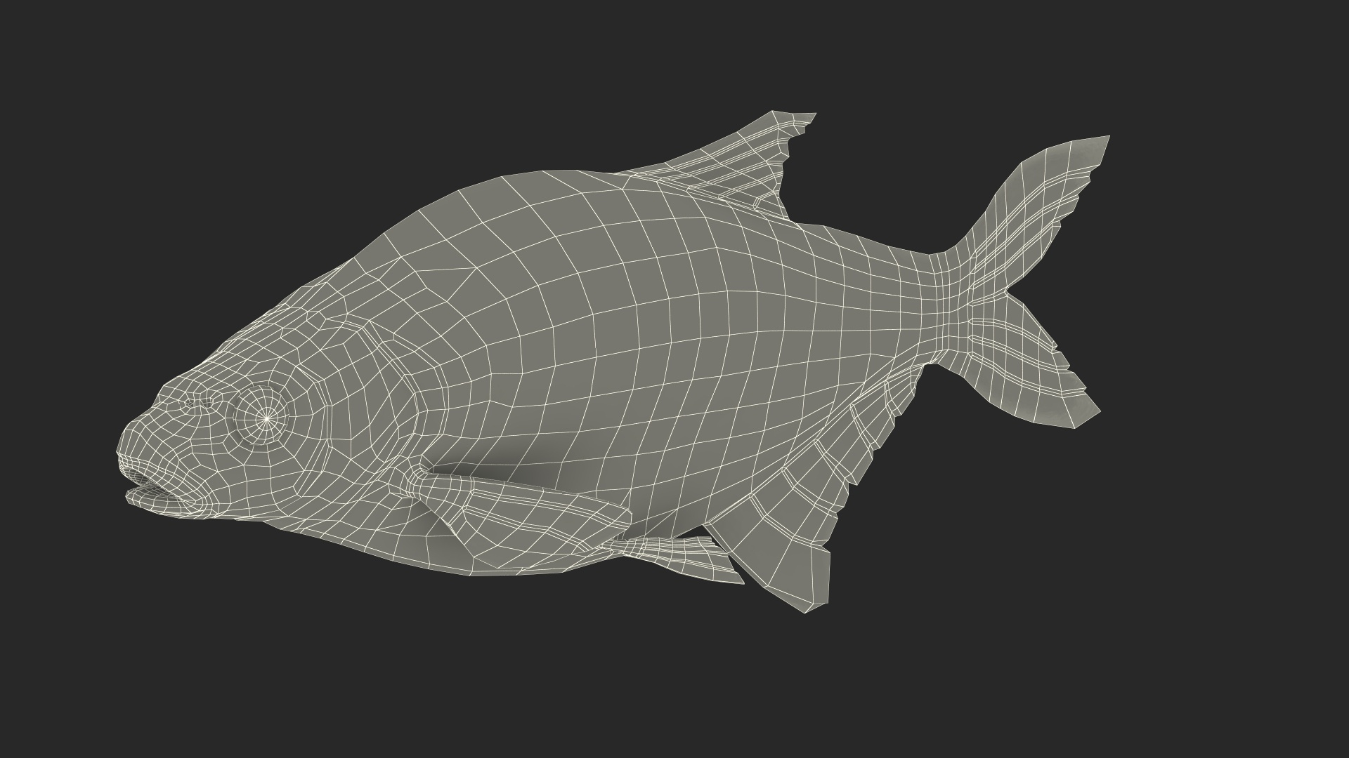 Abramis Brama 3D Model - TurboSquid 2157097