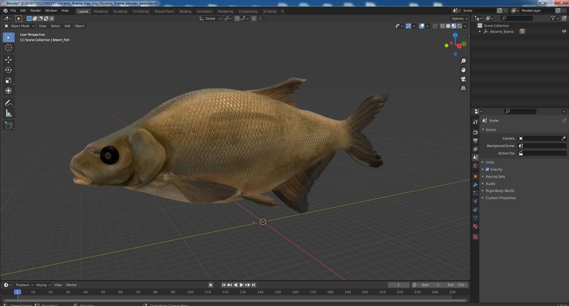 Abramis Brama 3D Model - TurboSquid 2157097