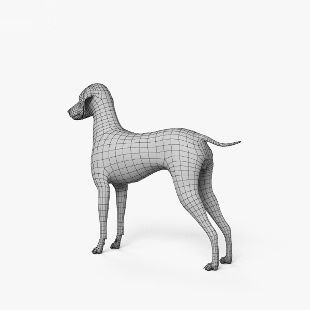 3D Poodle - TurboSquid 1484358