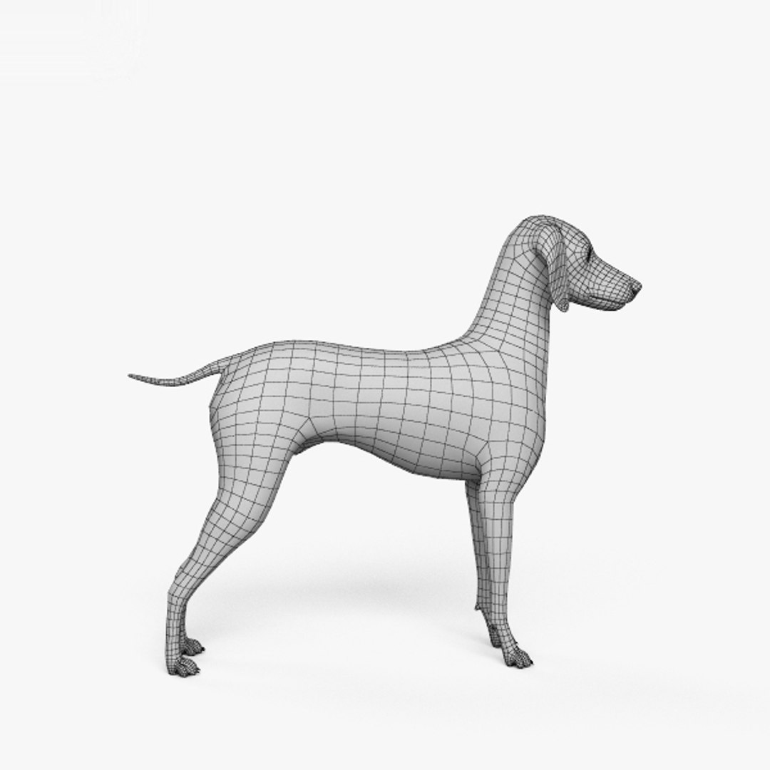3D Poodle - TurboSquid 1484358
