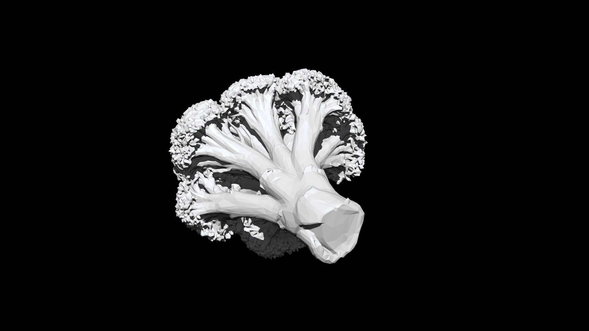 3D Broccoli 3D CT Scan Model Decimate 5percent - TurboSquid 1886399