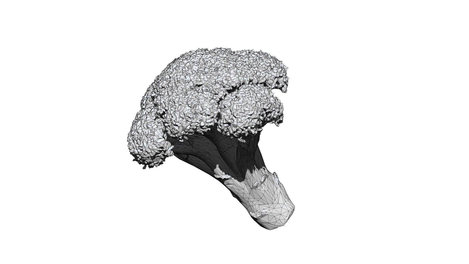 3D Broccoli 3D CT Scan Model Decimate 5percent - TurboSquid 1886399