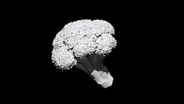 broccoli 3D CT scan model decimate 5percent3D模型 - TurboSquid 1886399