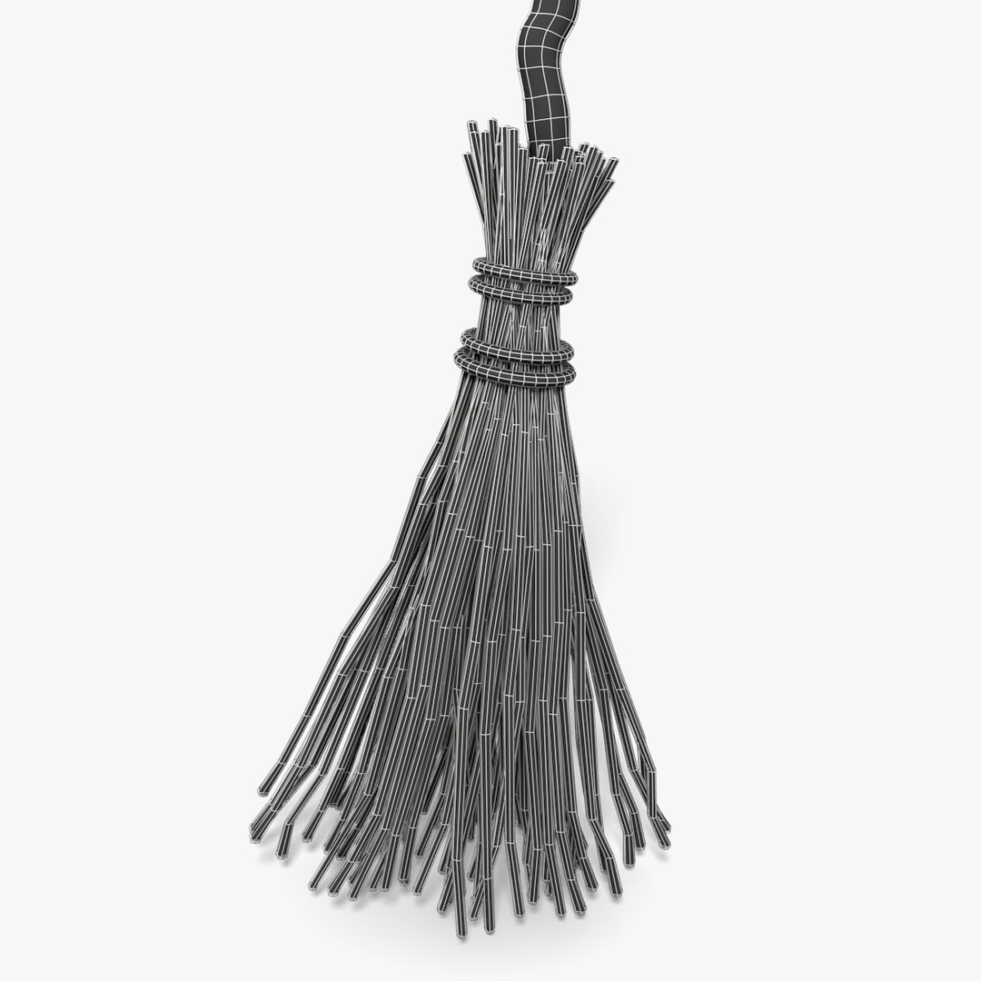 3d Model Of Broom