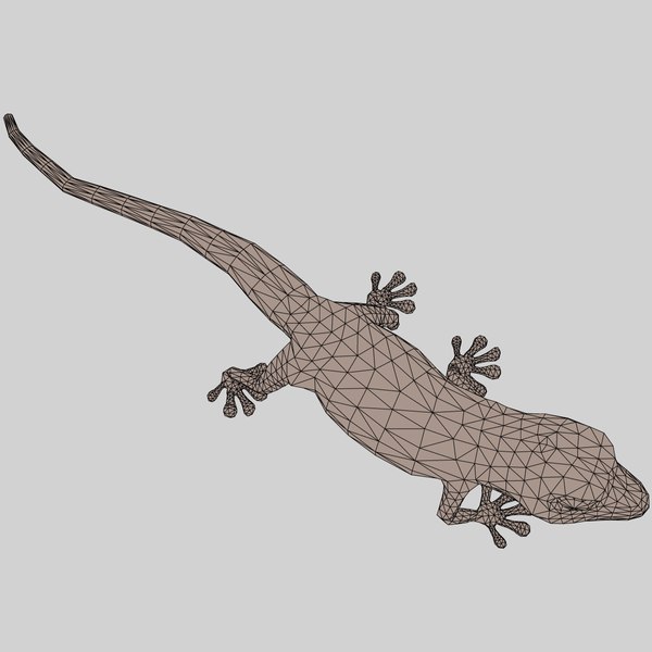 model realistic gecko animations