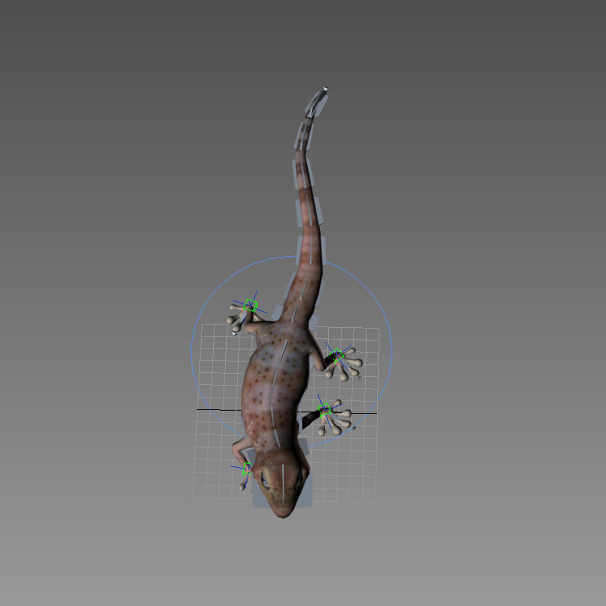 model realistic gecko animations
