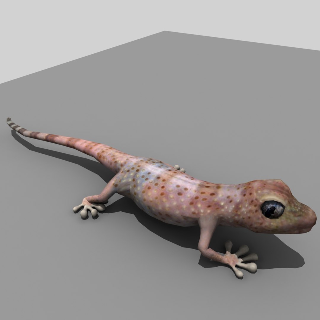 Model Realistic Gecko Animations