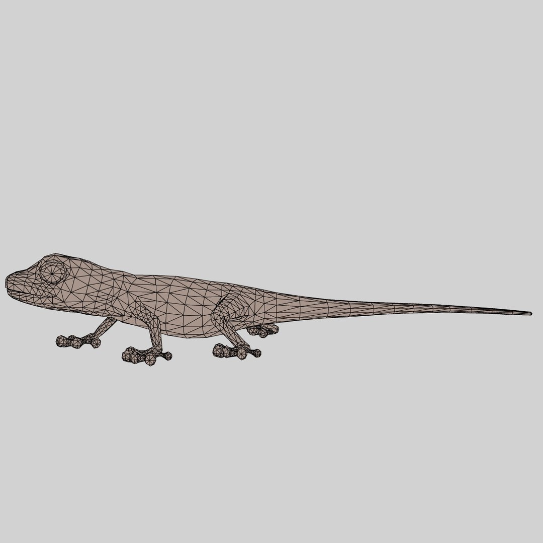 Model Realistic Gecko Animations