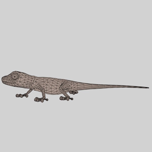 model realistic gecko animations