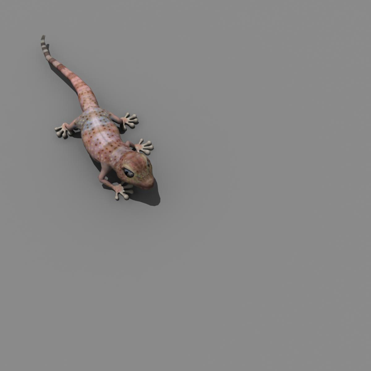 model realistic gecko animations