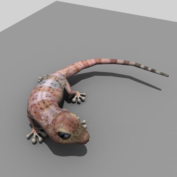 model realistic gecko animations