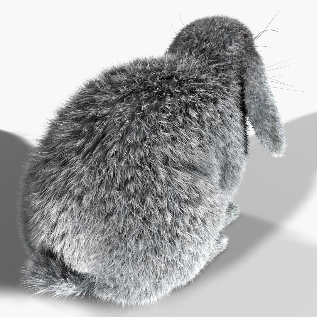 Max Rabbit Fur