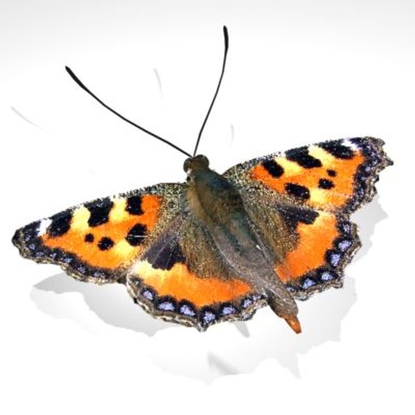 butterflies 18 3d model