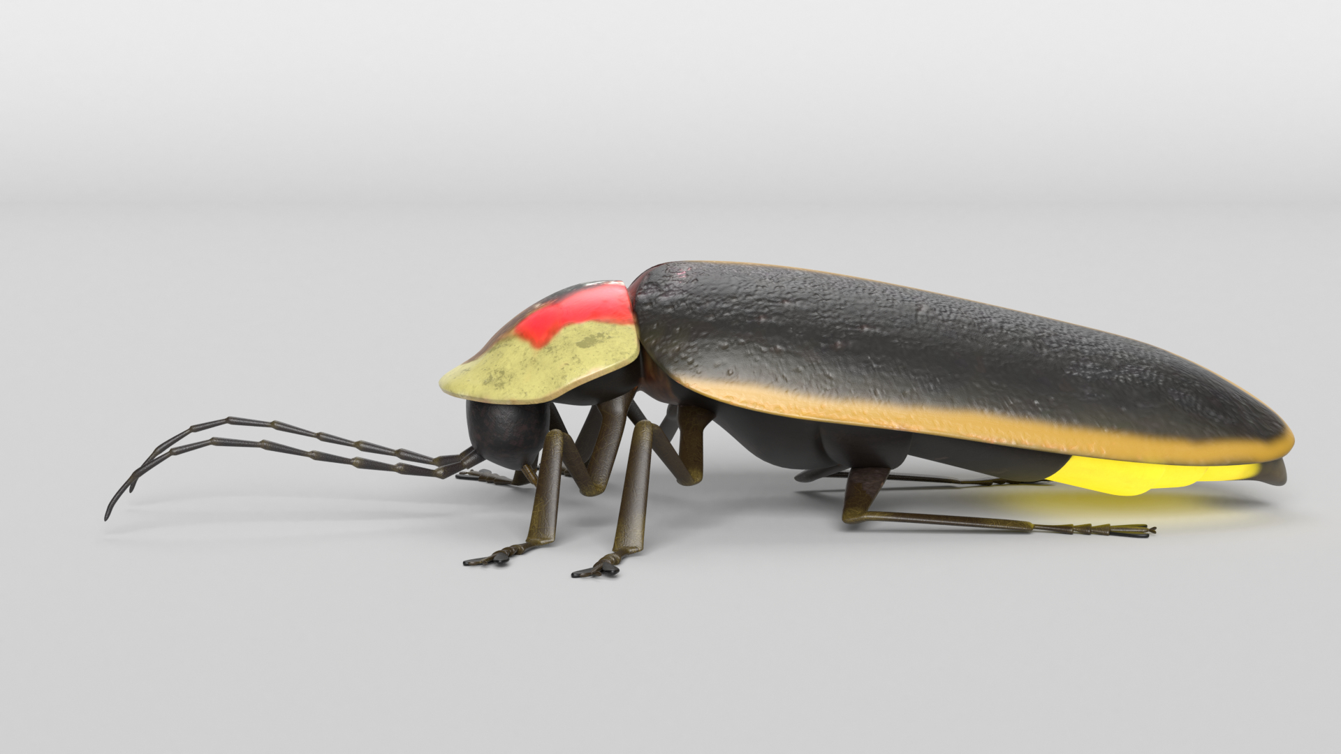 Firefly 3D model - TurboSquid 1735051