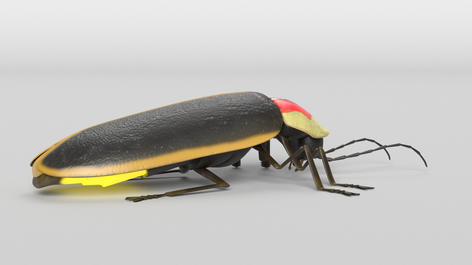 Firefly 3D model - TurboSquid 1735051