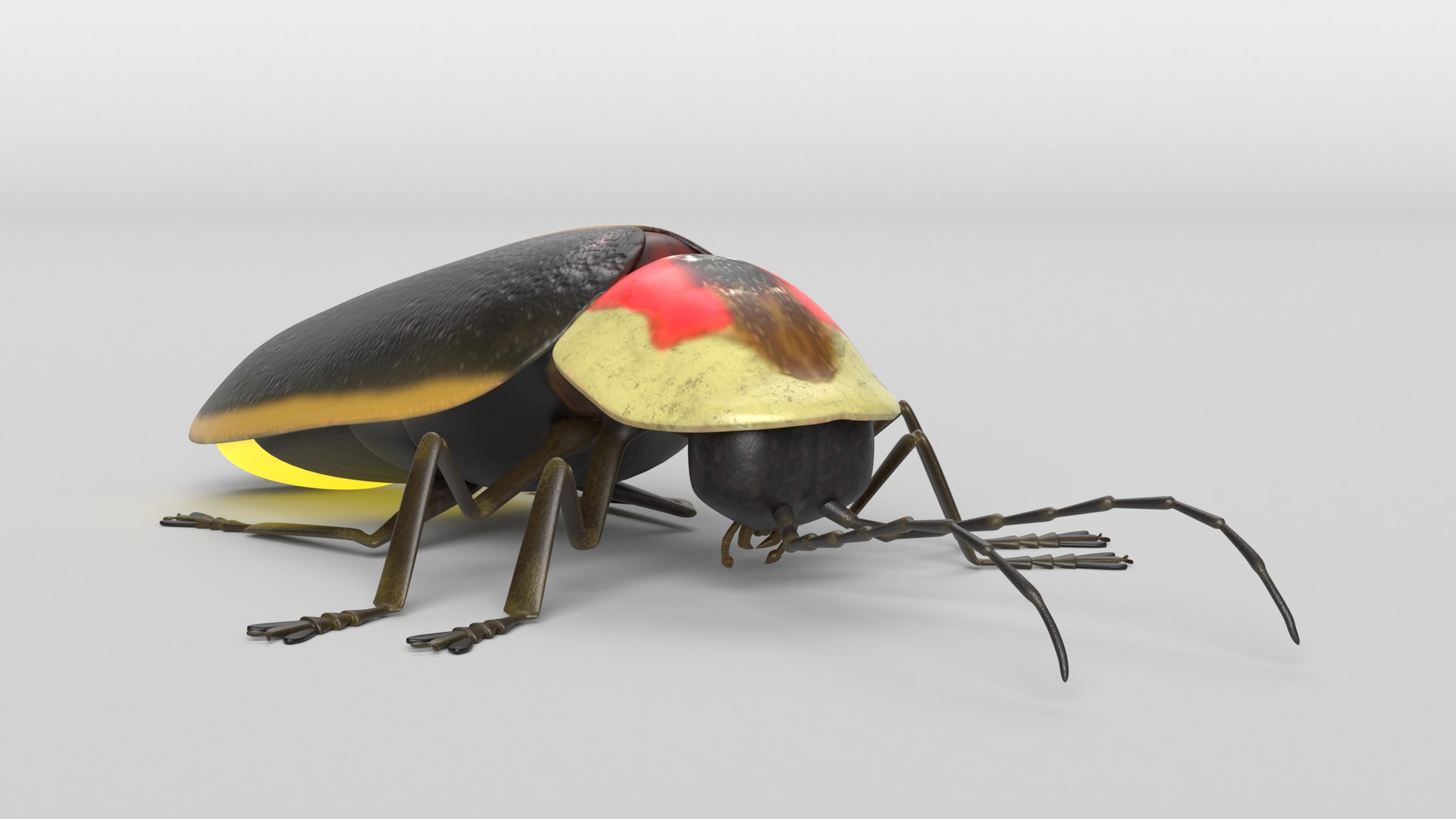 Firefly 3D Model - TurboSquid 1735051