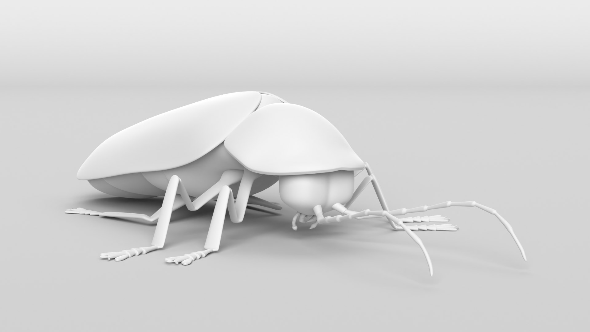 Firefly 3D Model - TurboSquid 1735051