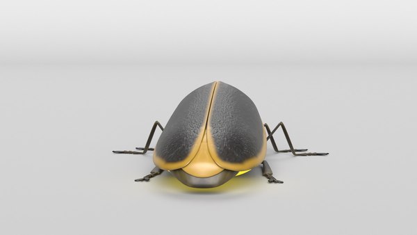 Firefly 3D model - TurboSquid 1735051