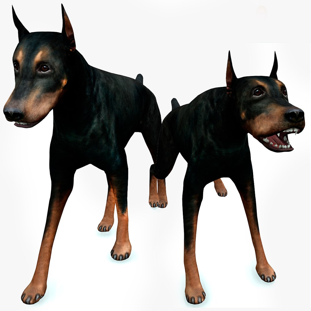 DOG MEGA PACK model - TurboSquid 2080249