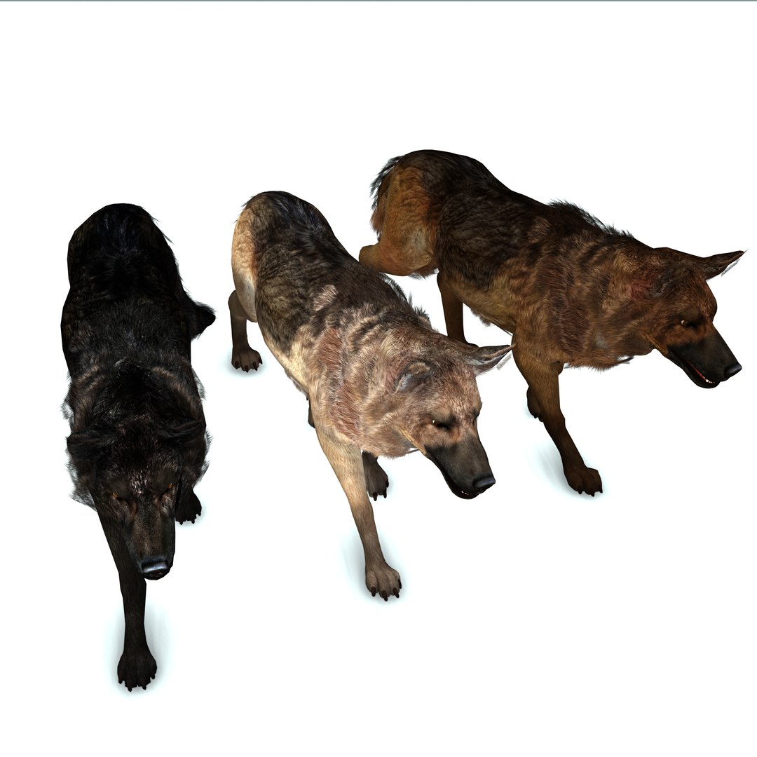 DOG MEGA PACK model - TurboSquid 2080249