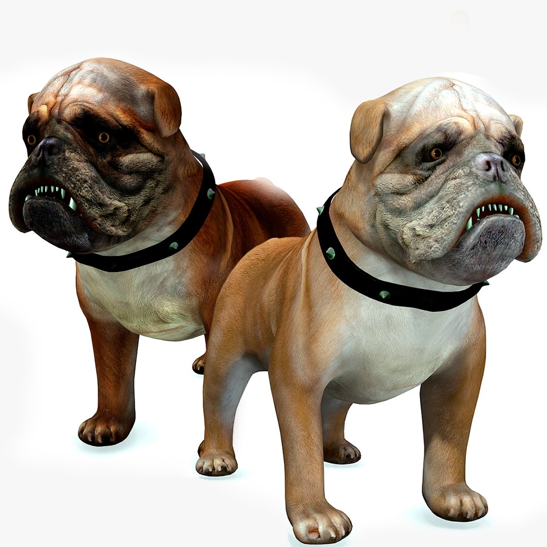 DOG MEGA PACK model - TurboSquid 2080249