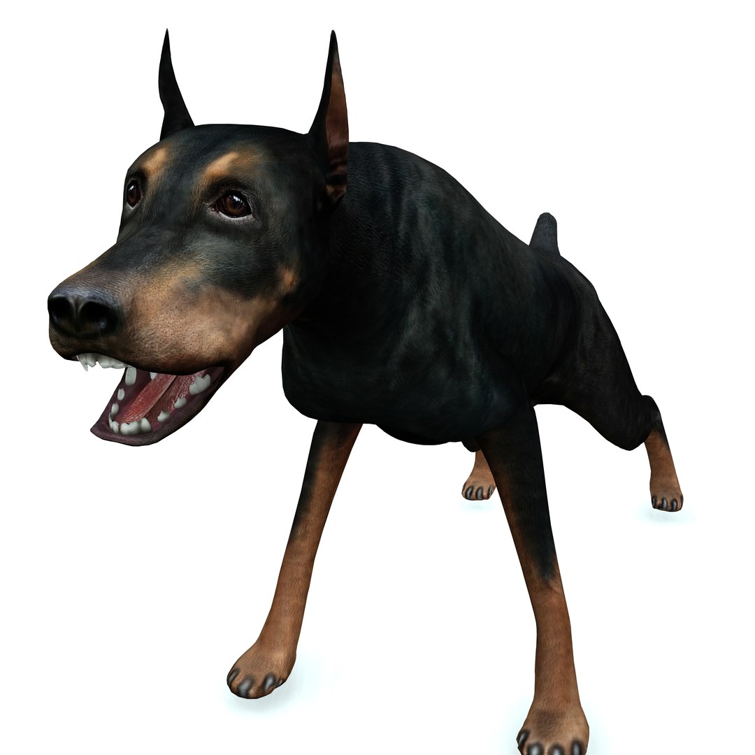 DOG MEGA PACK model - TurboSquid 2080249