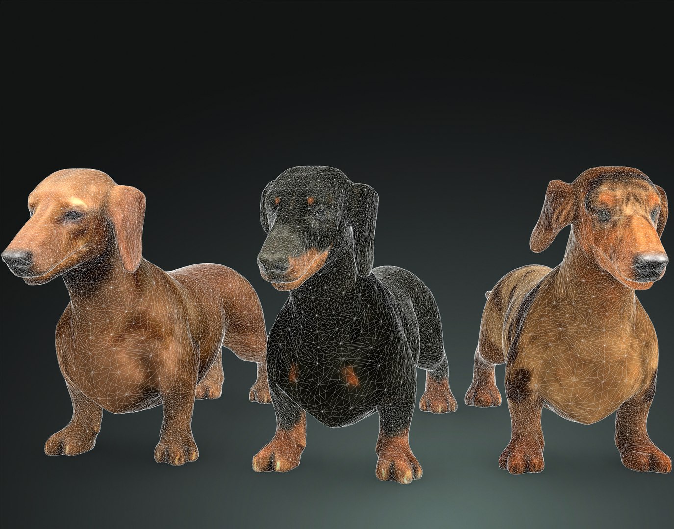 DOG MEGA PACK model - TurboSquid 2080249